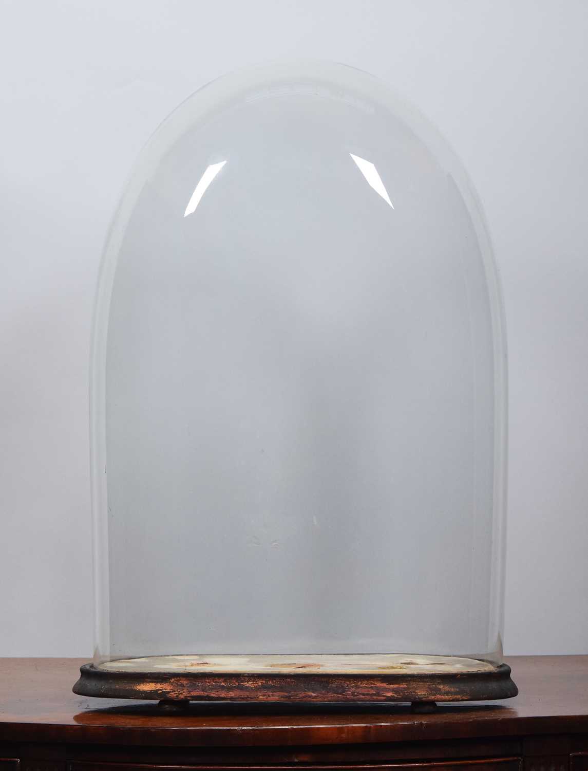 Lot 152 - Glass Domes: A Large Period Oval Glass Dome,